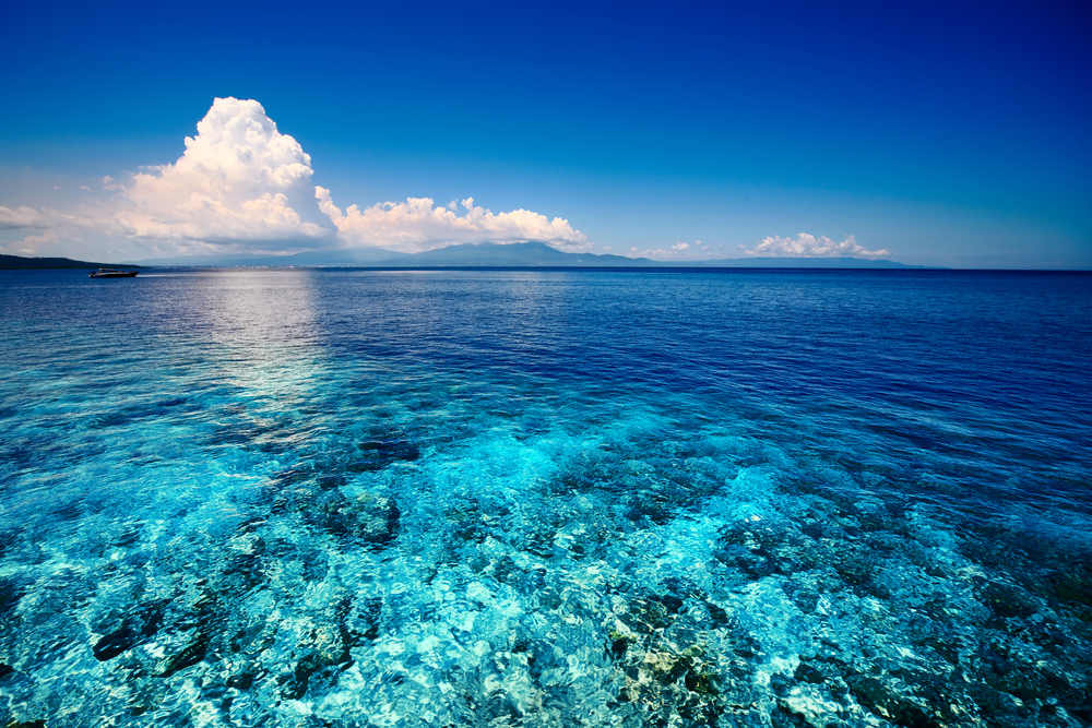 Fiji charter crystal clear ocean Big Blue Fiji